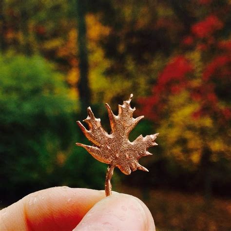 Katie Kelly On Instagram “tiny Maple Leaf In The Rain” Metal