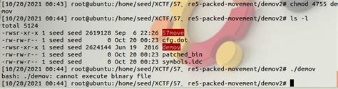 Linux下出现bash Demov Cannot Execute Binary File的问题 代码先锋网