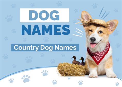 100 Country Dog Names Ideas For Nature Loving Pups Hepper Pet Resources