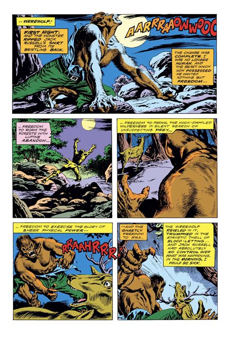First Night R Werewolfbynight