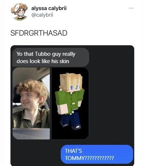 Bunch Of Dsmp Memes Cuz Why Not Pt1 R Dreamsmp