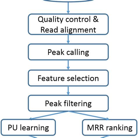 The Flowchart Of The Pipeline The Raw Chip Seq Data Is First Download Scientific Diagram