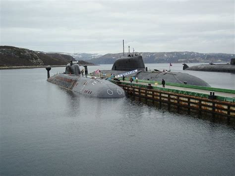 Shchuka And Shchuka B Two Species Of Pike Rsubmarines