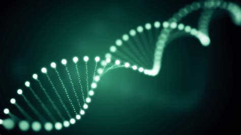 Seamless Animation Of Rotating Dna Glowing Stock Motion Graphics Sbv