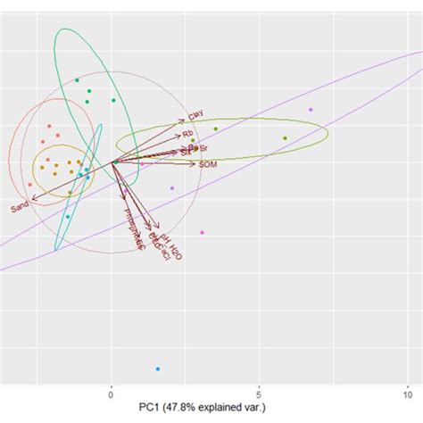 Principal Component Analysis Results Showing Different Cluster