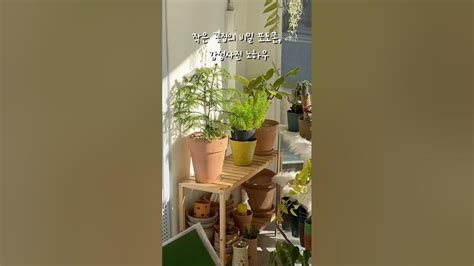 소소한 작은 꽃집의 꽃다발 예쁘게 찍는 노하우꽃집 꽃집브이로그 꽃집일상 꽃집노하우 사진노하우 플로리스트브이로그 꽃집vlog Youtube