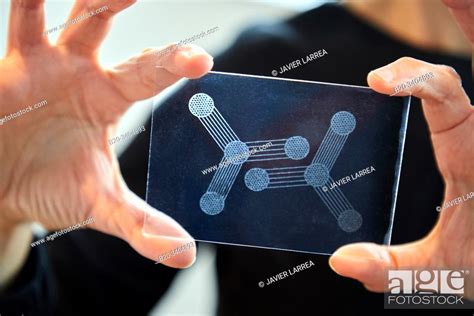 Bio Inks Design And Processing Of Bioinks For 3d Printing Biomaterials Laboratory Unit Of