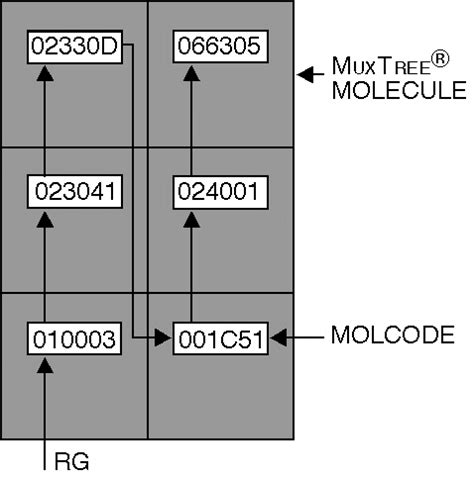 Modulo Up Down Counter A Ordered Binary Decision Diagrams For Q Download Scientific
