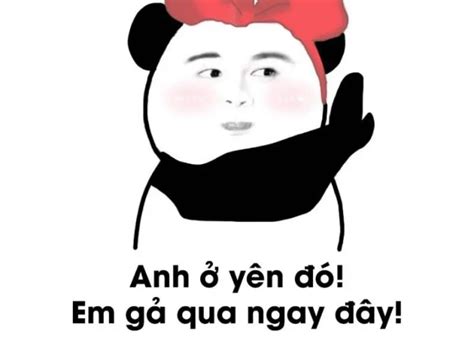 Lưu Ngay Về Máy 99 Meme Thả Thính đáng Yêu Hài Hước Nhất