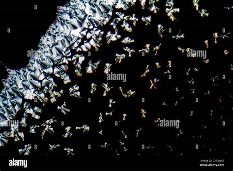 Microscopic Shot Showing Colorful Microcrystals In Polarized Light