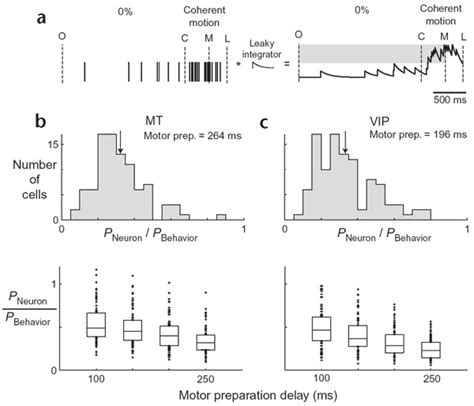 Single Neuron Detection Performance A Applying The Neurometric Download Scientific Diagram