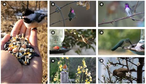 Springboot实战:ai大模型亮数据代理高效获取视频资源 知乎 Springboot实战:ai大模型亮数据代理高效获取视频资源 知乎