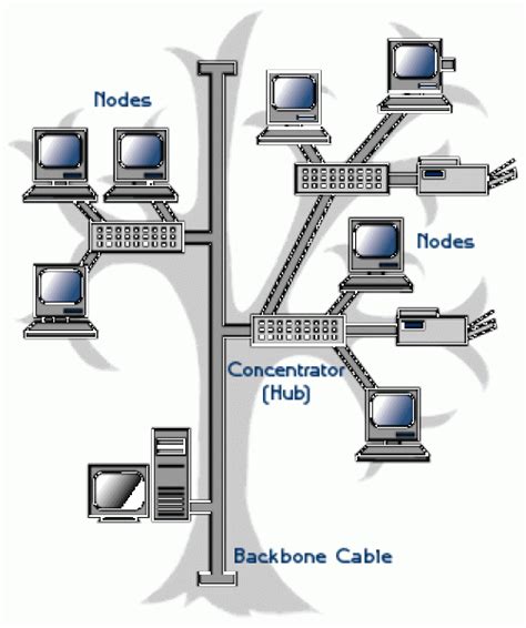 Network Topology
