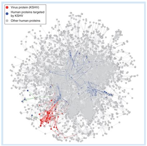 Global View Of Hostvirus Interactions Download Scientific Diagram