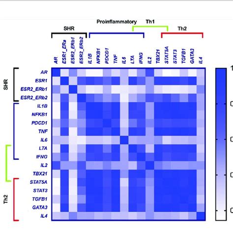 A Heatmap Of Repeated Measures Correlation Coefficients Between Gene