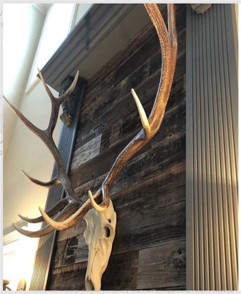 European Mount Skull Mount Faux Elk Antler Rustic Cabin Decor