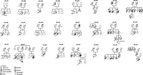 Reduced Pedigrees Of 24 App Duplication Families Download Scientific Diagram