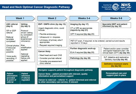 Head And Neck Cancer Right Decisions