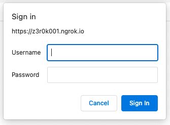 Ngrok Blog Authentication With Ngrok
