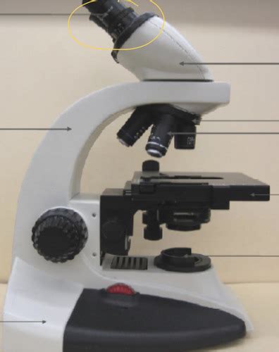 Anatomy Lab Practical 1 Flashcards Quizlet