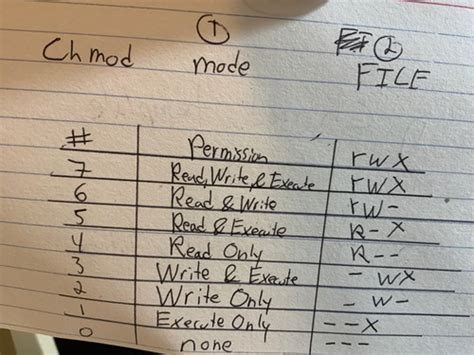 Basic Linux Commands Flashcards Quizlet