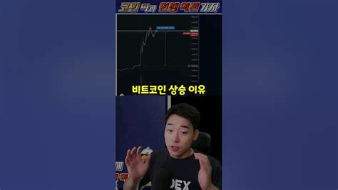 비트코인 찐반등 Youtube