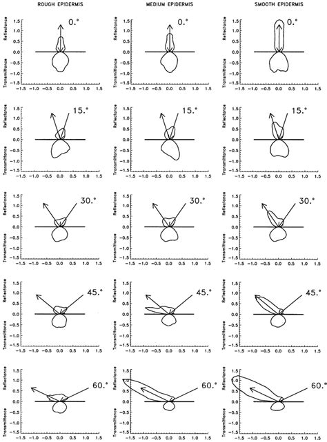 Bidirectional Reflectance And Transmittance In The Principal Plane In