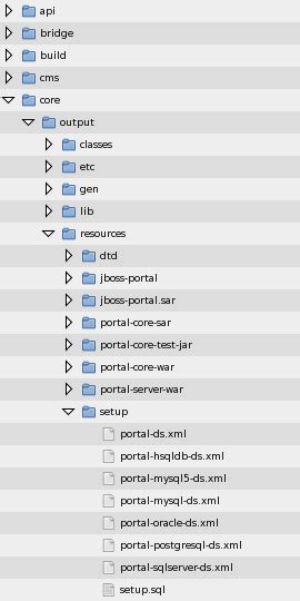 Chapter 6 XML Descriptors