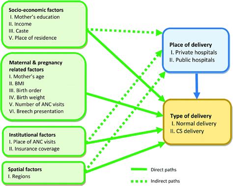 Diagrammatic Presentation Of The Hypothesised Causal Pathway