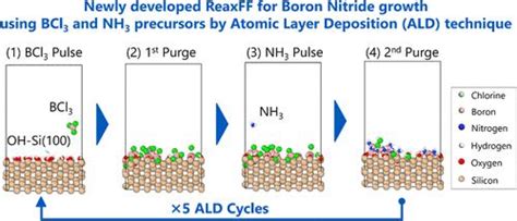 Reactive Force Field Molecular Dynamics Studies Of The Initial Growth