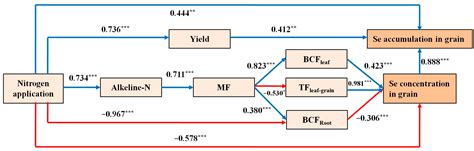 Plants | Free Full-Text | Nitrogen Application Can Optimize Form of Selenium in Soil in Selenium ...