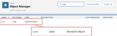 How To Set Default Value For Text Field In Salesforce