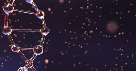 Significance Of Genomic Annotation