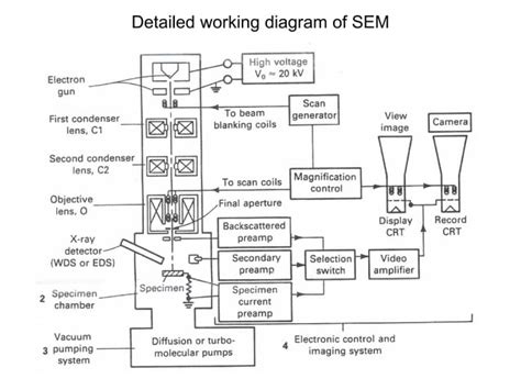 Lecture3conventional Microscopepdf Geology Science