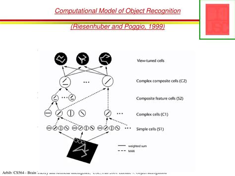 Ppt Object Recognition And Scene Analysis Exploring Visual Processing And Neural Networks