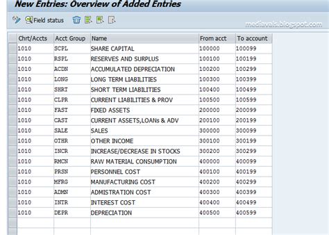 Define Account Group Sap Fico