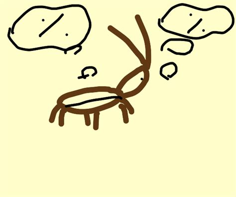 Mindless Cockroach Drawception Mindless Cockroach Drawception
