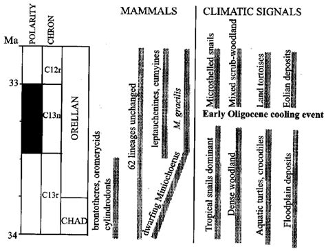 Summary Of The Climatic Indicators Right Side Of Diagram And The