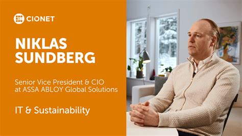 ldd interview it and sustainability