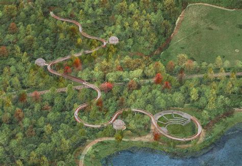 UK S Longest Treetop Walkway Wins Planning Permission
