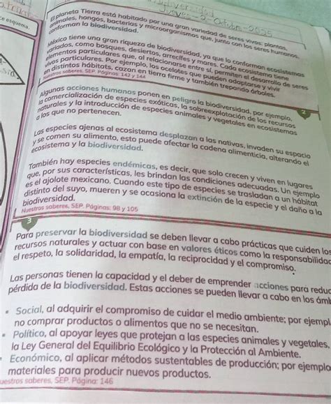 Resueltoesquema Conforman La Biodiversidad El Planeta Tierra Está