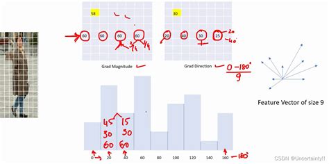方向梯度直方图（histogram Of Oriented Gradient） Csdn博客