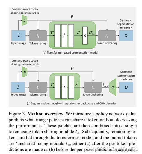 使用vision Transformers实现高效语义分割的内容感知共享tokencontent Aware Token Sharing For Efficient Semantic Csdn博客