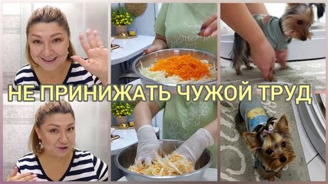 квашу капусту/принижение чужого труда/болталка/жизнь 50+ - YouTube