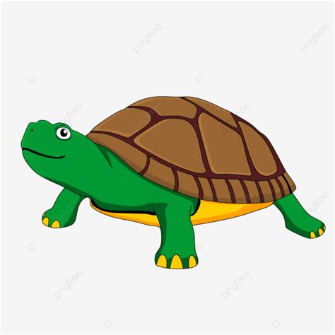 كرتون سلحفاة بسيطة سلحفاة حيوان الزواحف Png والمتجهات للتحميل مجانا
