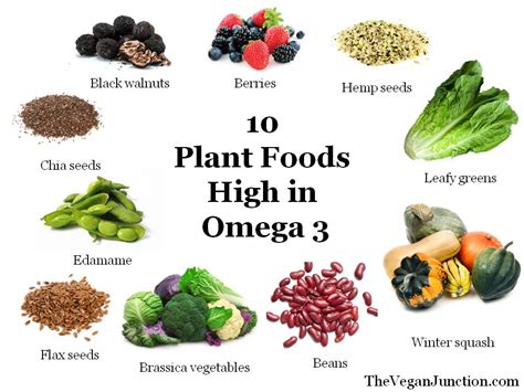 What You Need To Know About The Omega 3 In A Nutshell — Plant Shift
