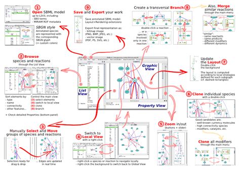 Download Metabolic Pathway Tool Visualization Free Filecloudwa
