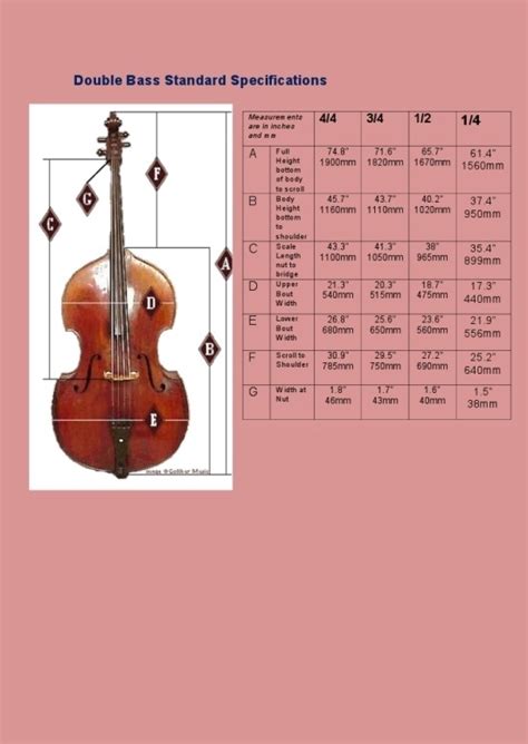 오케스트라 현악기의 표준 크기 바이올린 비올라 첼로 콘트라베이스 사이즈 안산악기 이벤트뮤직 안산 롯데마트 네이버 블로그