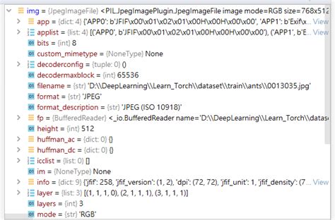 【深度学习】pytorch Dataset类的使用与实例分析 Seansiyang 博客园