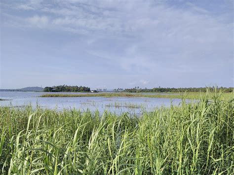 [explainer] What Are Ecological Droughts